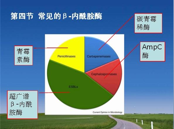 AmpC酶 - 快懂百科