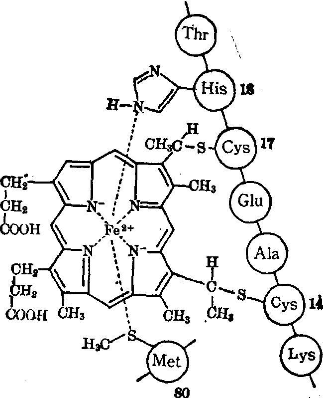细胞色素 - 快懂百科