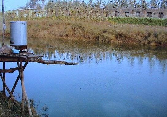 东阿镇 - 快懂百科