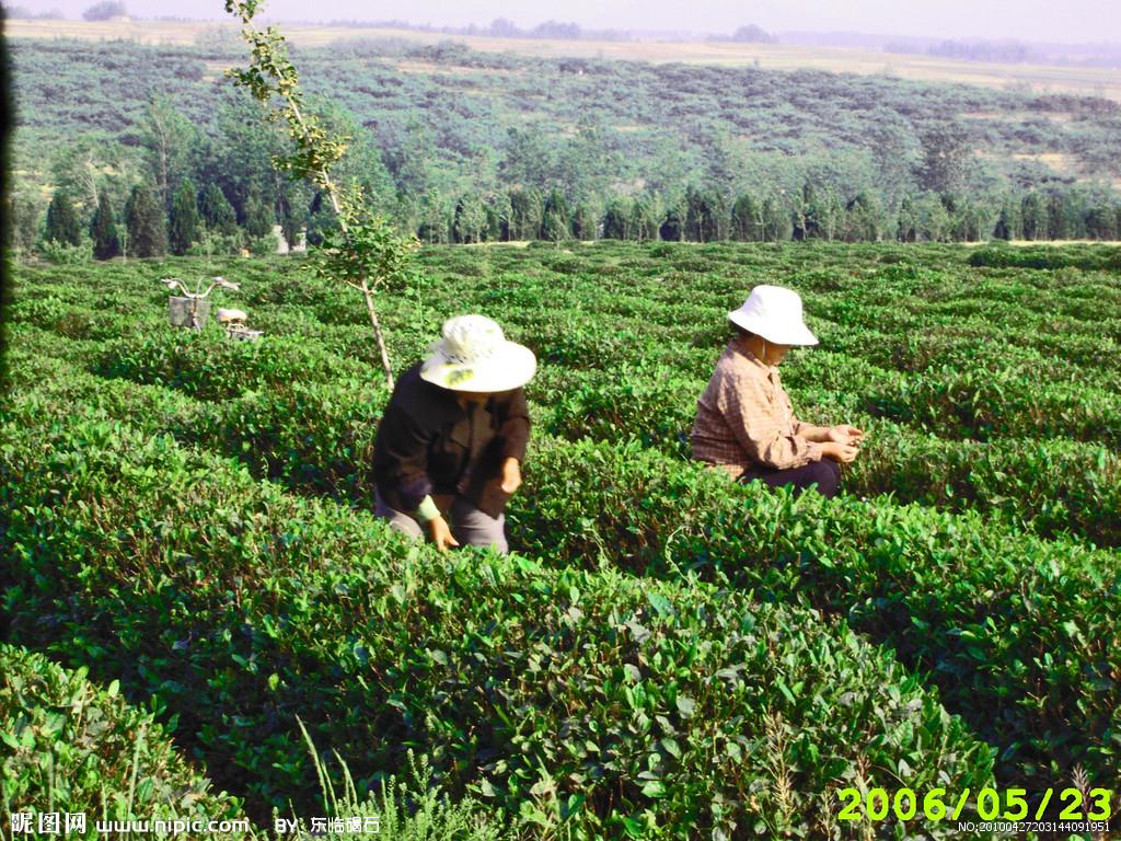 王墅社区 - 快懂百科